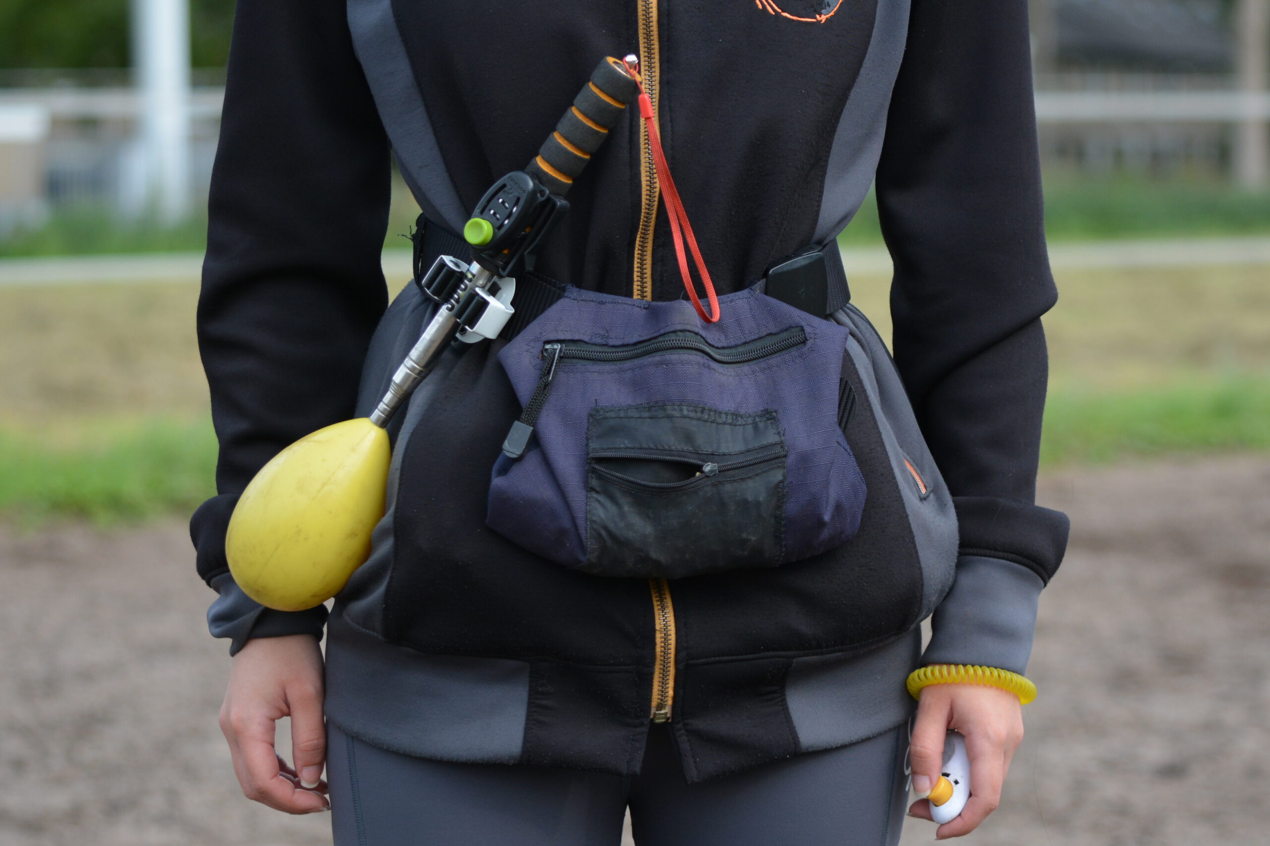 The 5 Essential Horse Clicker Training Supplies All Trainers Need ...